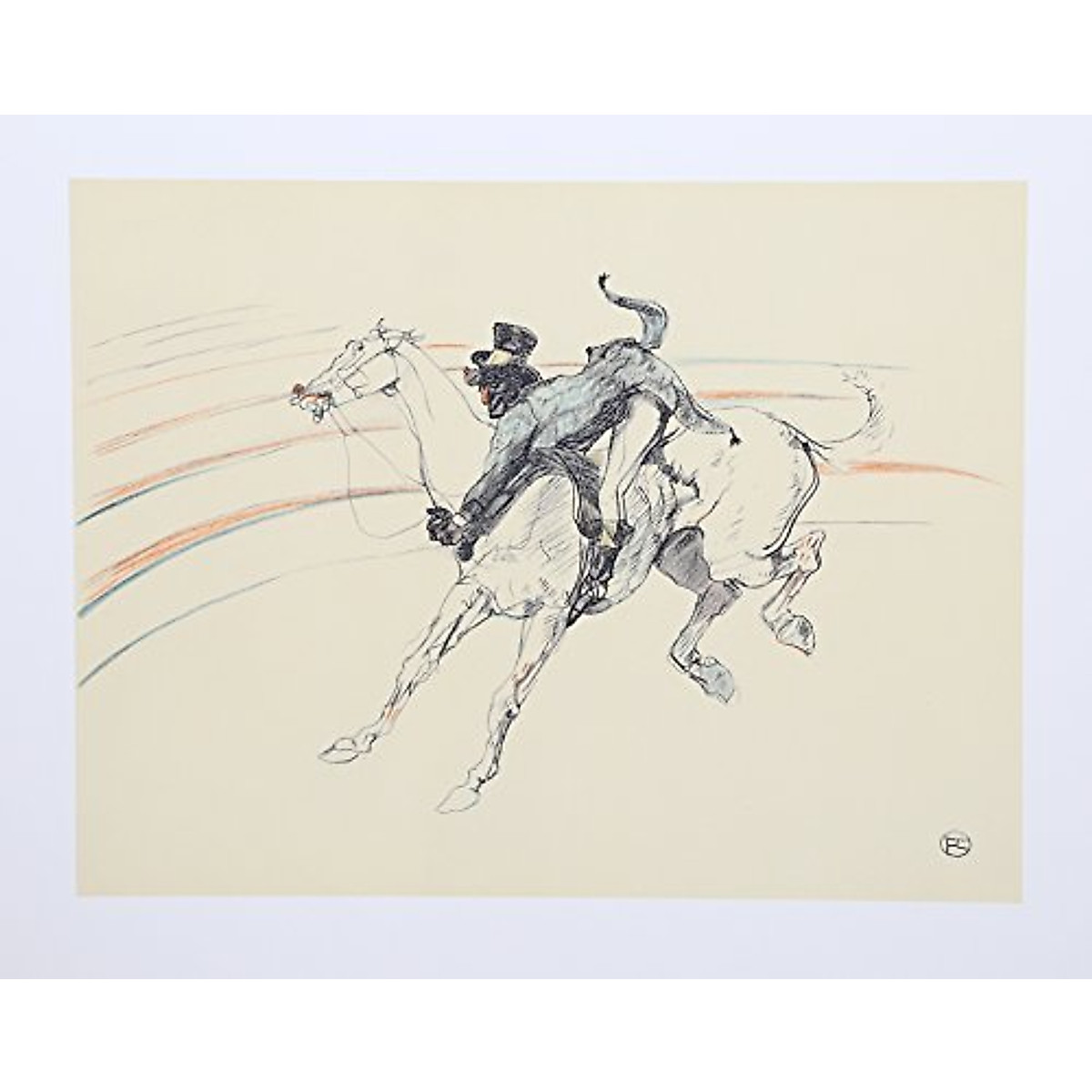 The Circus Portfolio 37