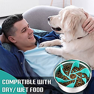 2 Pcs Dog Bowl Slow Feeder Insert, Cuttable Slow Feeder Dog Bowl Insert with Strong Suction Cups, Cat Dog Feeding Supplies, Slow Feeder for Most Dogs Bowl or Dogs Dish