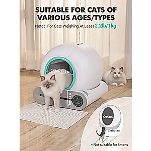 Famree Smart Self-Cleaning Cat Litter Box,Automatic Cat Litter Cleaning Robot with 65L+9L Large Capacity/APP Control/Ionic Deodorizer for Multiple Cats【2023 New Structure】, Turquoise Green