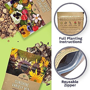 Bulk Wildflower Seeds Variety Pack - 5 Large Packets 5 Different Mixes - Over 1/4 Pound - More Than 30,000 Open Pollinated Seeds