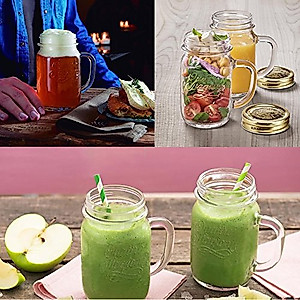 Rocco Bormioli 4 Stagioni Clear Glass Jar with Handle and Lid, 47 x 25 x 15 cm [Italian Language Design]