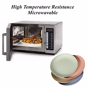 CAMBUY Wheat Straw Plates Lightweight Unbreakable Dinner Dishes Plates Set Dishwasher & Microwave Safe (Large 8 Pack 8')