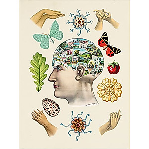 The Antiquarian Sticker Book: Over 1,000 Exquisite Victorian Stickers (The Antiquarian Sticker Book Series)