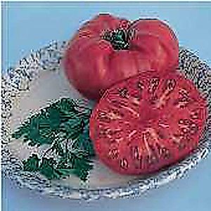 Mortgage Lifter Tomato Seeds (20+ Seeds) | Non GMO | Vegetable Fruit Herb Flower Seeds for Planting | Home Garden Greenhouse Pack