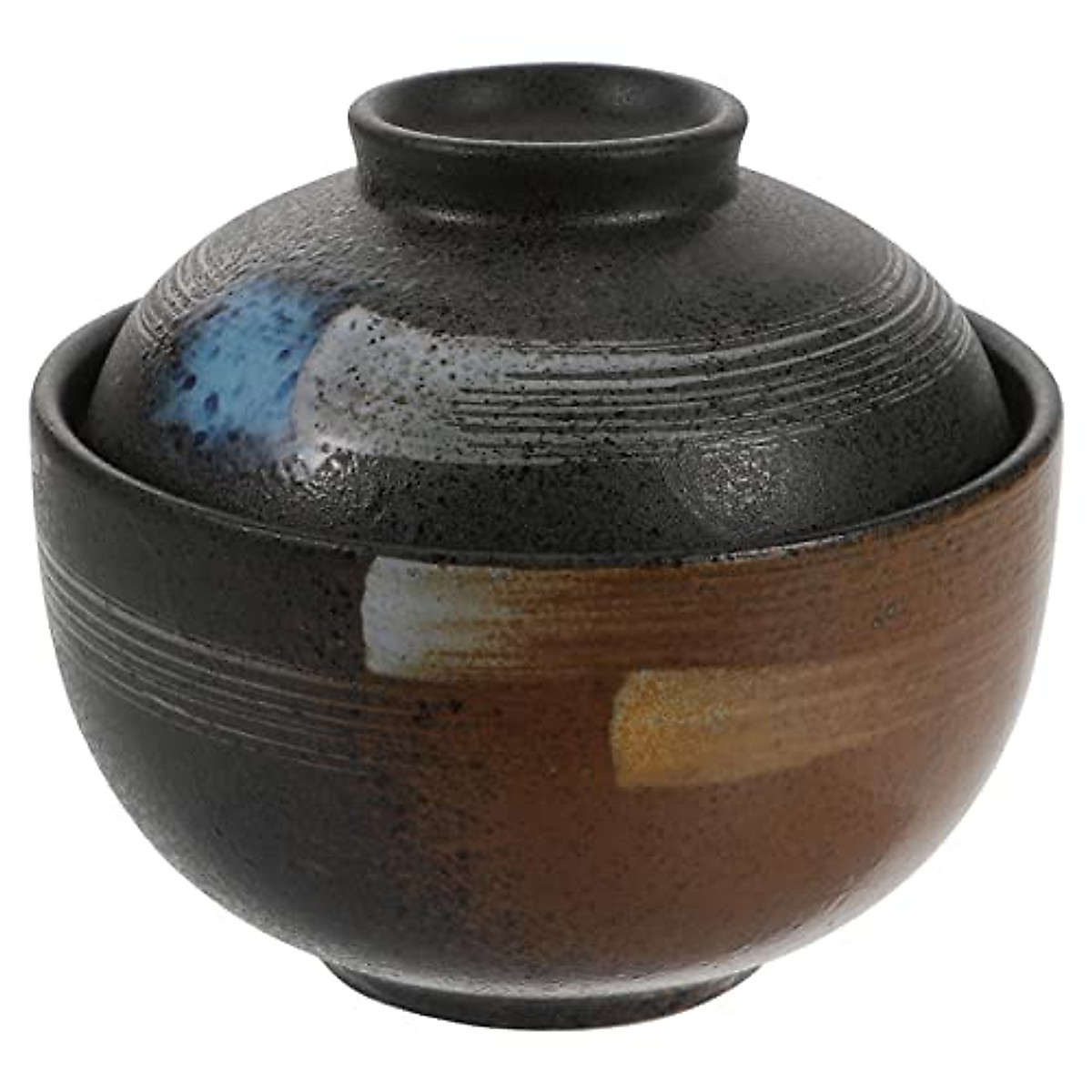 BESTonZON 2 pcs Pho Steaming Bowls Bird Tableware Chill Appetizer Noodle Saucer Japanese Black Use Salad Lid Vegetables Delicate Vintage Soup Stockpot Nest Miso Pot Serving Earthen Stew