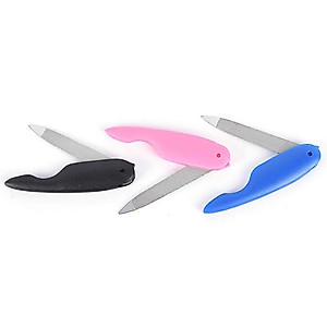 RAYNAG 10 Pack Folding Pocket Size Nail File Stainless Steel Manicure Nail Care,Random Color