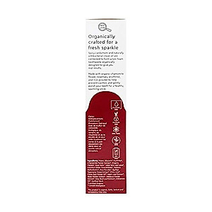 RADIUS USDA Organic Toothpaste 3oz Non Toxic Chemical-Free Gluten-Free Designed to Improve Gum Health & Prevent Cavity - Clove Cardamom - Pack of 2