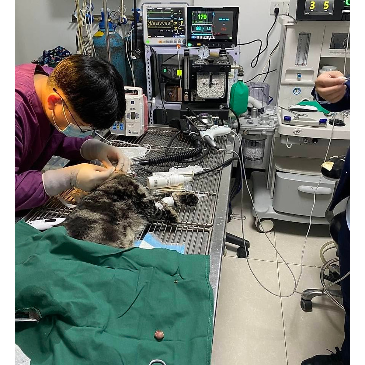 Veterinary Equiment Vet Patient Monitor Multiparameter ICU Machine, ECG, Blood Oxygen, Blood Pressure, Respiratory Rate, Body Temperature, Heart Rate Veterinärmonitor for Dog, Cat and Animal