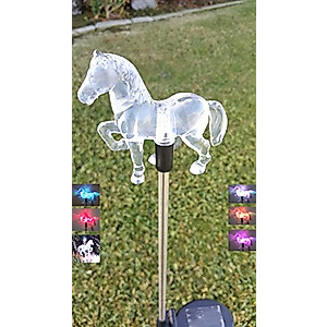 Set of 2 Clear Acrylic Horse Solar Yard Stick Color Change Lights