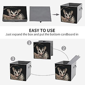 Australian Sugar Glider Foldable Storage Bins with Handles Storage Cubes Closet Organizer for Living Room Bedroom 6PCS