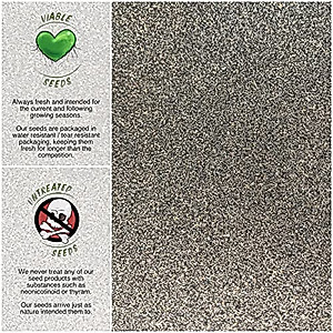 Seed Needs, Portulaca Seeds - 1,000 Heirloom Seeds for Planting Portulaca grandiflora - Moss Rose, Great for Rock Gardens (1 Pack)