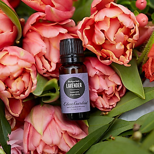 Edens Garden Lavender- Bulgarian Essential Oil, 100% Pure Therapeutic Grade (Undiluted Natural/Homeopathic Aromatherapy Scented Essential Oil Singles) 10 ml