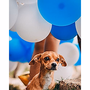 MOMOHOO Royal Blue Balloons 12+5 Inch 70Pcs Birthday Party Balloons, Premium Latex Balloons for Baby Shower Gender Reveal Balloons, Bridal Shower Graduation Balloons Wedding Party Helium Ballons