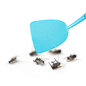 10 Pieces Fly Swatter, Colorful Strong Flexible Manual Fly Swat Set Plastic Durable Fly Swatter