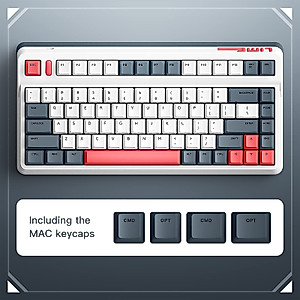 iQunix L80 Gaming Keyboard, 2.4G Wireless Mechanical Keyboard with Cherry MX Brown Switch, Compact 83 Keys RGB LED Backlit Hot Swappable Keyboard for Windows/Mac/Android/iOS