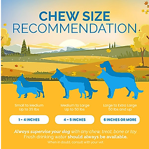 123 Treats Premium Beef Trachea for Dogs – 12 Inch 100% Natural Beef Dog Chews, Rich in Glucosamine and Chondroitin for Joint & Hip Mobility (10 Count)