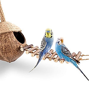 andwe Coconut Bird Nest Hut with Ladder for Parrots Parakeet Conures Cockatiel - Small Animals House Pet Cage Habitats Decor