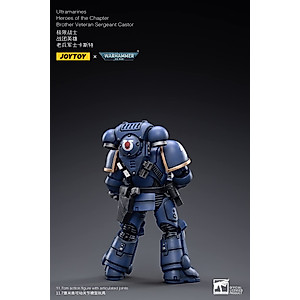 HUAXI DARK SOURCE(HAINAN)TECH Joy Toy Warhammer Brother Vet SGT Castor 1/18 FIG