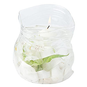 22 Ounce Glass Zipper Bag, 1 Large Glass Bag - Realistic Crinkled Edges, Serve Candy, Popcorn, or Nuts, Clear Glass Bag Bowl, Dishwasher-Safe, Flat Base - Restaurantware