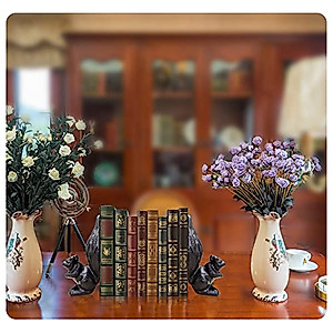 Livfodrm Book Ends for Shelves Decor, Cast Iron Bookends for Heavy Books,Cute Squirrel Book Holder Stopper for Room,Unique Book End Decorative Desktop Bookshelf Office and Home, Dark Brown 2PCS