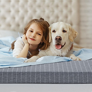 Firm Memory Foam Mattress Topper Queen - 4 Inch Charcoal-Infused Bed Topper for Back Pain Relief, Dual-Sided Firmness, CertiPUR-US Certified, Removable Cover