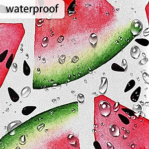 XMNYGJ Shower Curtain Red Pink Watermelon Shower Curtain Set with 12 Plastic Hooks Waterproof Fabric Bath Curtains for Bathroom Decor Machine Washable 72 x 72 Inches