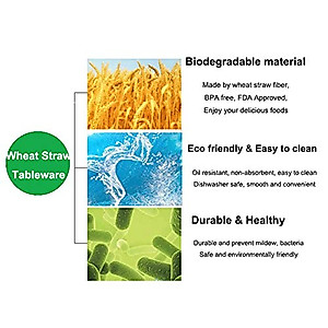 Greentiming Small Cereal Bowl Colorful Dinner Bowls Set of 4, Unbreakable Lightweight Durable Meal Rice Bowl - 12 oz Microwavable Bowl for Salad, Soup, Fruits, Desserts, Portable Bowl for Picnic