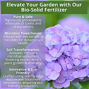 GARDENWISE 8-4-8 Acidic Fertilizer for Azaleas, Camellias (Camelia), Hydrangeas, Blueberries, Gardenias, Magnolia Trees, Evergreens, and Rhododendrons - Ideal Iron-Rich Plant Food (12 OZ)