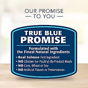 Blue Buffalo Basics Skin & Stomach Care, Grain Free Natural Adult Dry Dog Food, Salmon & Potato 11-lb