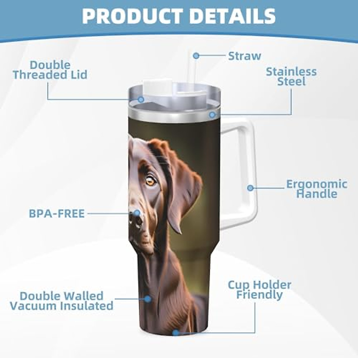 HULIBIN Brown Labrador Retriever Print Double Deck Stainless Steel Travel Coffee Cup With Lid 40 Oz Ice Bully Cup