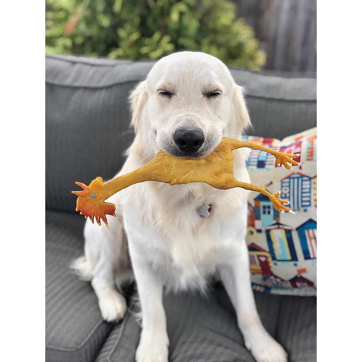 Rubber Chicken Dog Toys - Natural Rubber (Latex) - Lead-Free Chemical-Free - Complies with Same Safety Standards as Baby Toys - Soft Unstuffed Squeaky (Extra-Large)