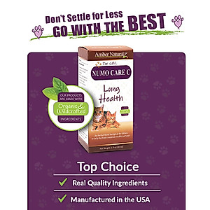 Amber NaturalZ Numo Care C Lung Health Herbal Supplement for Cats | Feline Herbal Supplement for Bronchial Support and Respiratory Lung Health | 1 Fluid Ounce Glass Bottle | Manufactured in The USA