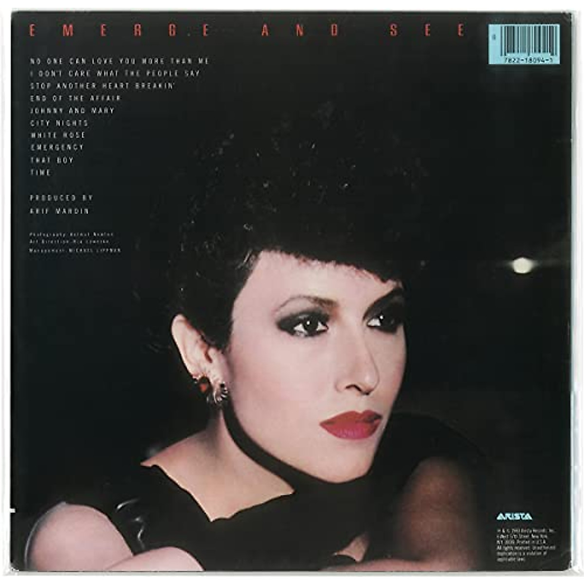 (100) 12 LP Record Outer Sleeves Premium 2 mil Thick Archival Quality, Super Clear #12SB02