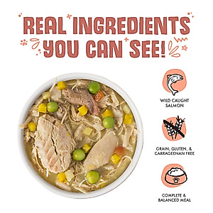 Weruva Classic Dog Food, Jammin' Salmon with Chicken & Salmon in Gravy, 14oz Can (Pack of 12), Red (Jammin’ Salmon)