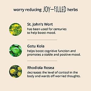 Joy-Filled Mood Support Supplement with St Johns Wort | Helps Calm The Mind & Body, Stress Relief Energy Supplements | 100% Plant-Based | Ashwagandha, Rhodiola, Eleuthero | Herbal Adaptogens, 60 ct