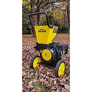 Champion Power Equipment 200905 3-Inch Portable Chipper-Shredder with Collection Bag