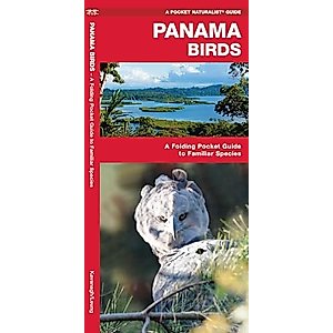 Panama Birds: A Folding Pocket Guide to Familiar Species (Nature Observation International)