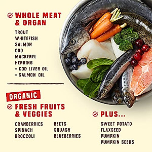 Stella & Chewy's Wild Red Dry Dog Food Raw Coated High Protein Grain & Legume Free Ocean Recipe, 3.5 lb. Bag