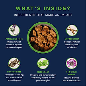 Good Trouble Pets Dog Allergy Support Soft Chew Supplements: Allergy Relief for Itching and Licking - Seasonal Allergy Relief for Dogs - Natural Ingredients Fight Natural Allergens - Boosts Immunity