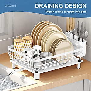 GAXmi Dish Drying Rack Over The Sink Dish Drainer with Drainboard Utensil Holder Adjustable Spout, 1-Tier White