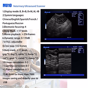 DAWEI Portable Ultrasound Machine Laptop Vet Ultrasound Scanner with 6.5Mhz Micro Convex Probe for Pregnancy Pet,Rabbits,Sheep,Dogs,Cats,Small Animals