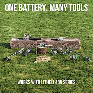 Litheli 40V 4.0AH Lithium Ion Battery Pack,Only for Litheli 40V Tools.