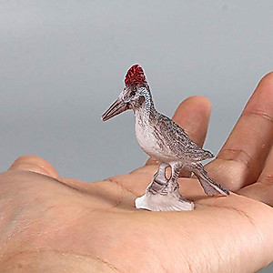 HERSMEMOR 12PCS Birds Figures Toys Playset for Kids, Birthday Christmas Easter for Girls Boys, Decorations for Cakes (Birds Toys)