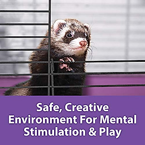 Kaytee My First Home Deluxe Multi-Level Habitat with Casters for Pet Ferrets