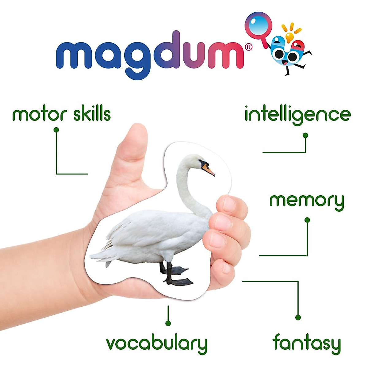 25 Fridge Magnets for Toddlers - Birds Photo Kids Magnets for Fridge - Toddler Magnets for Refrigerator - Magnetic Animals - Fridge Magnets for Kids - Animal Magnets - Toddler Fridge Magnets