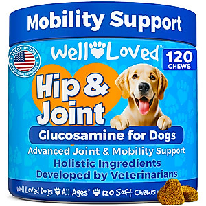 Well Loved Glucosamine for Dogs - Joint Supplement for Dogs, Made in USA, Vet Developed, Dog Joint Supplement, Glucosamine Chondroitin for Dogs, Advanced Hip and Joint Chews with MSM, Pain Relief, 120