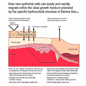 Veterinus Derma GeL® Tube 100mL - 3.4 fl.oz. x 5 Tubes (PRO-Pack $25 Saving)