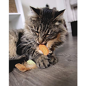 Petlinks (2 Count) HappyNip Love Birds Cat Toys, Contains Silvervine & Catnip - Multi Color, 2 Count