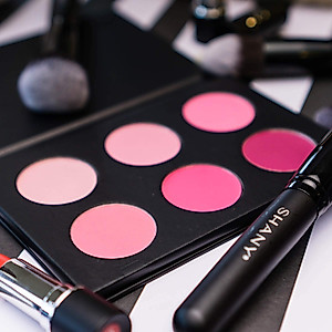 SHANY Shimmer & Matte Cool-Toned Blush Palette - Layer 5 - Refill for the 6 Layer Mini Masterpiece Collection Makeup Set