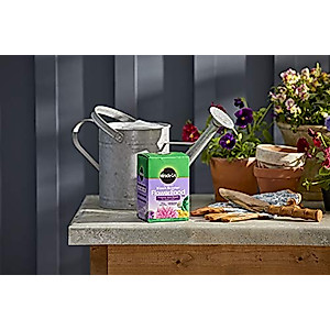 Miracle-Gro 1001921 Water Soluble Flower Food, 1.5 lb